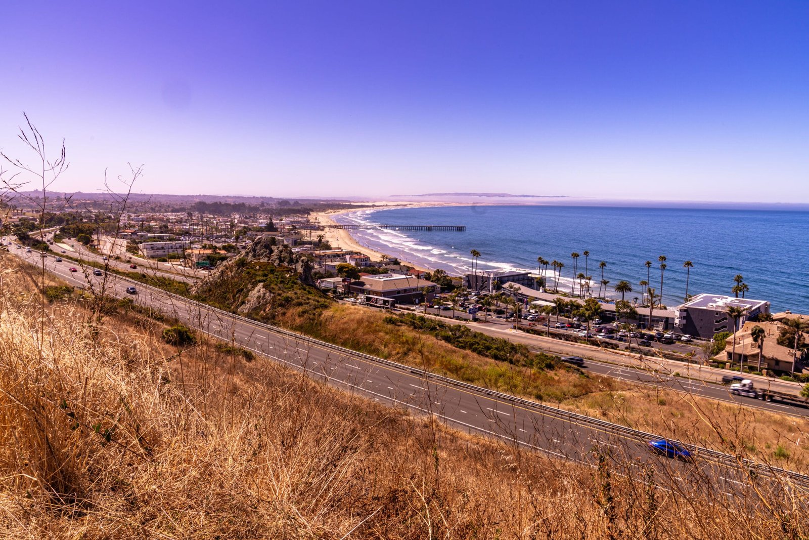 Exploring Nature’s Beauty: The Pismo Preserve in Pismo Beach, CA ...